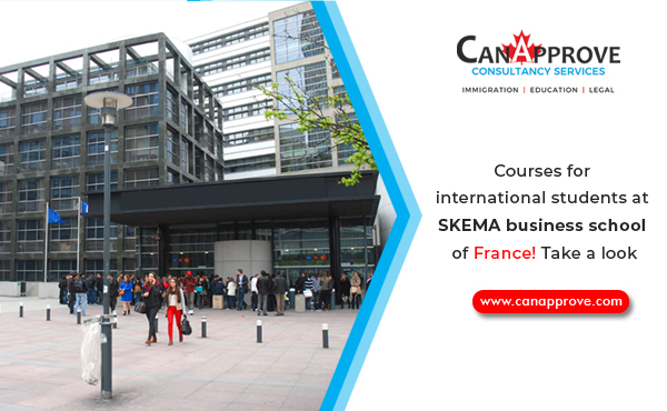 SKEMA business school in France providing courses for Jan 2020 intake!