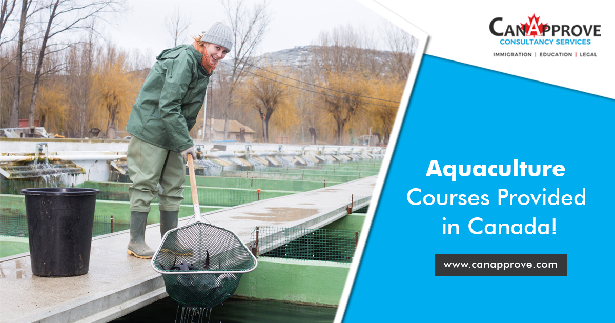 Aquaculture Courses Provided in Canada | study in Canada