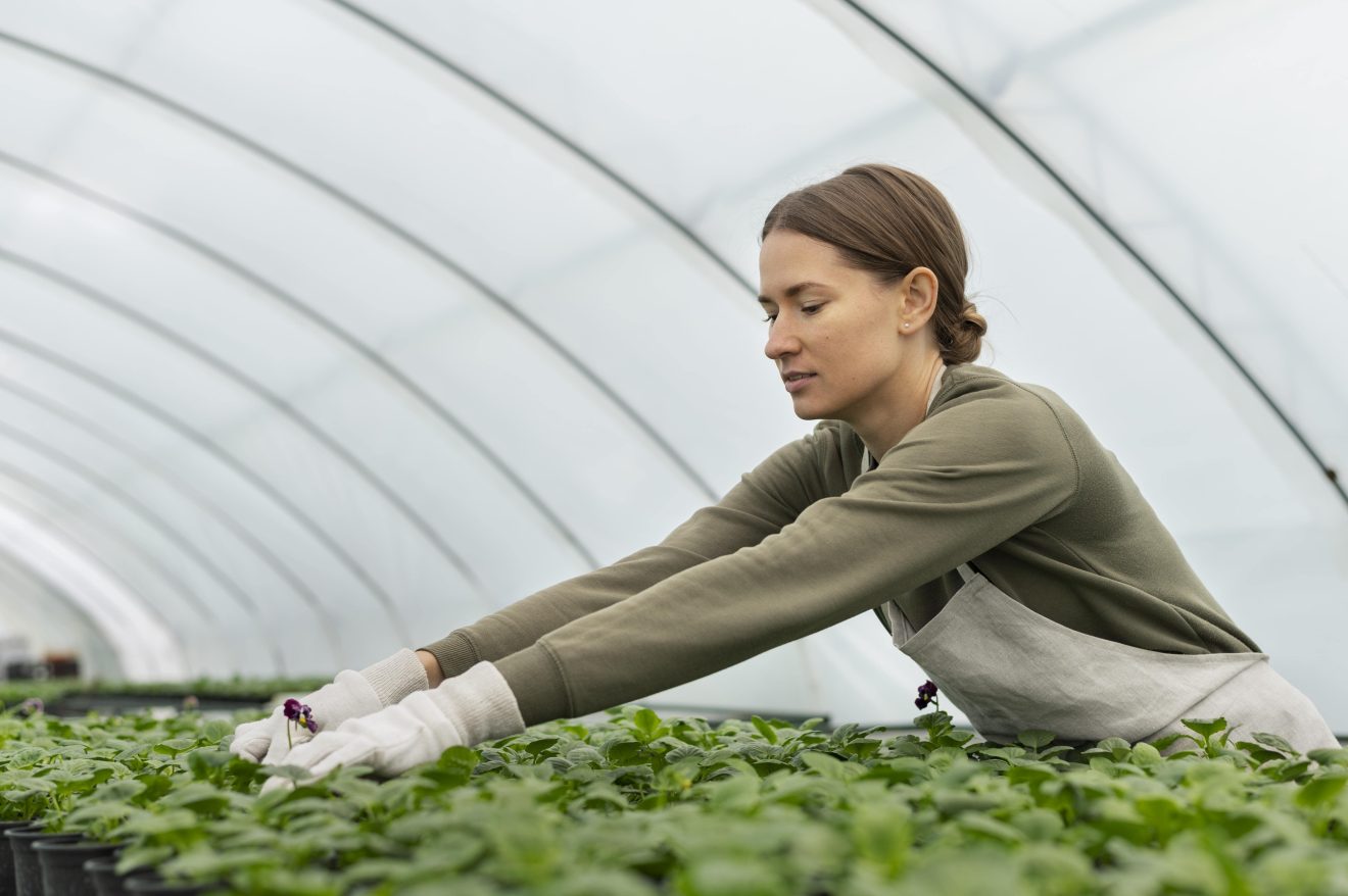 Top Agriculture Programs in Canada for a Promising Career