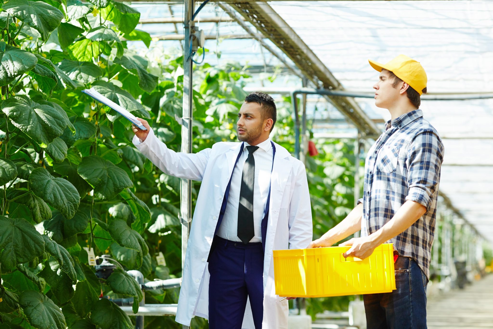 Top Agriculture Programs in Canada for a Promising Career